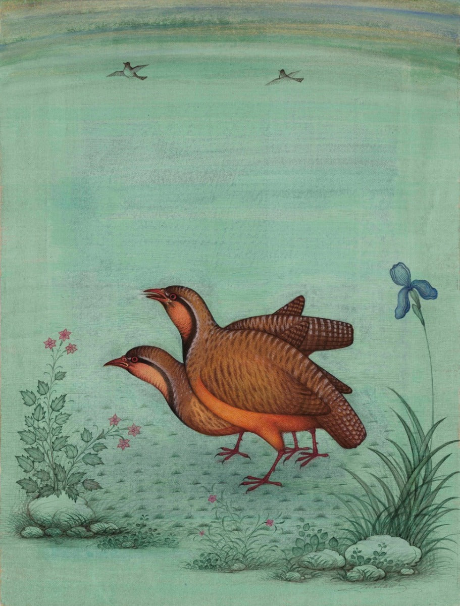 Buy Original Chukar Partridge Painting online By Mahaveer Swami | Eikowa